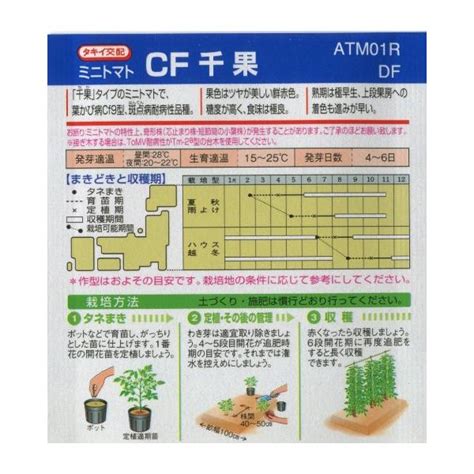 【ミニトマト】cf千果【タキイ種苗】（16粒）野菜種 春まき Df Hana Uta 米沢園芸 Yahoo店 Sitepromo