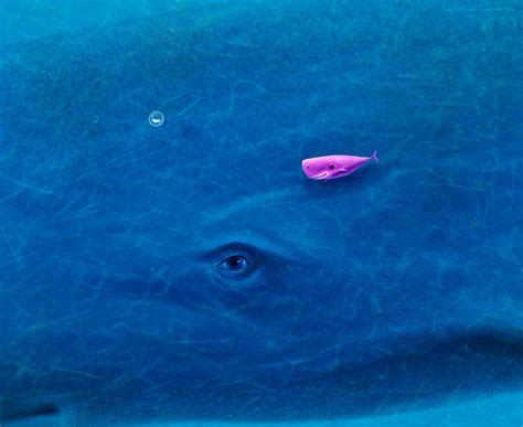 Whale In Love On Behance