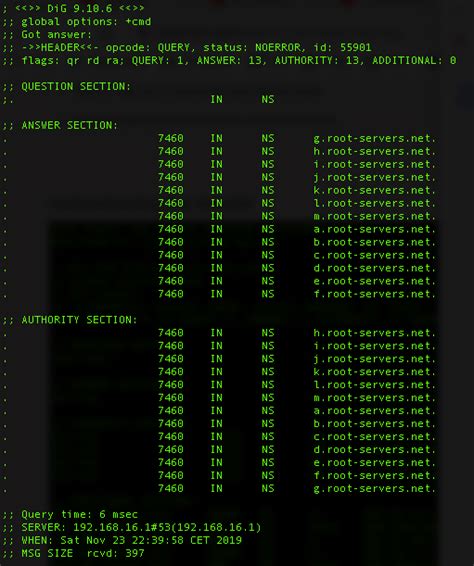 [tool] dig domain information groper