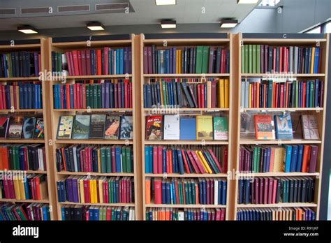 Bookshelves Old Books Background High Resolution Stock Photography And