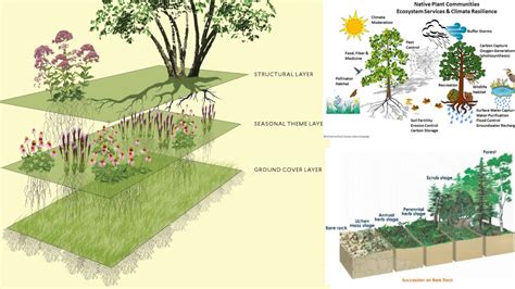 Endemism Definition Characters Theories Types Factors Examples