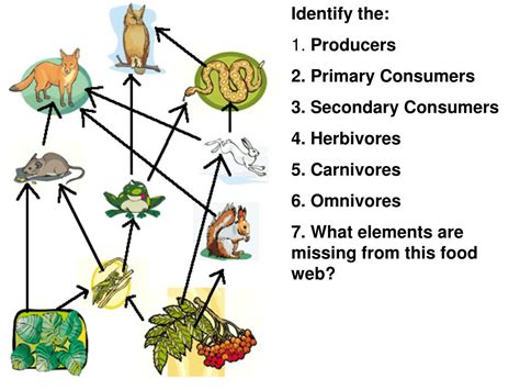Ppt Ecology Study Of Interactions Between Organisms Biotic