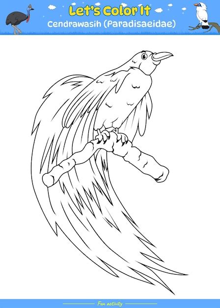 Premium Vector Lets Color It Cendrawasih Bird Cartoon