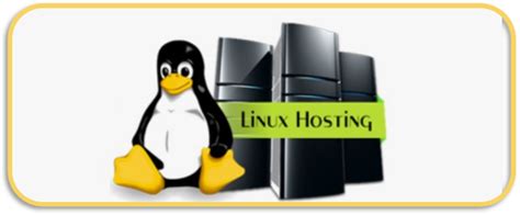 How Does Linux Hosting Work TezHost