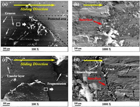 The Worn Surface Morphologies Of The Composite Under Different Loads