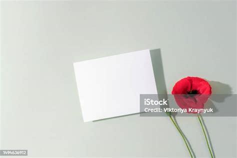 빈 카드와 붉은 양귀비 꽃은 회색 배경에 단단한 그림자가 있다 휴일 개념 인사말 카드 초대장 모형 평면도 평지 공란에 대한 스톡