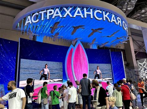 Астраханцы приняли участие в Кубке ВДНХ по гребле индор Астраханский