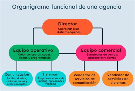 Organizador gráfico Que es tipos y ejemplos