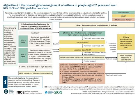 Asthma Diagnosis And Management Geeky Medics