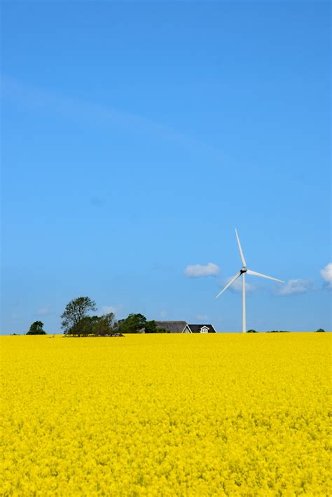 Skåne Skånesouthern Sweden Ajsha L Flickr