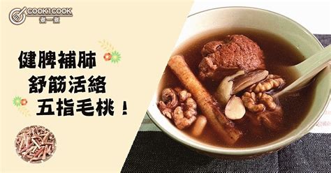 推介6款健康又養生的五指毛桃湯水食譜 健脾補肺，行氣利濕，舒筋活絡！ Cook1cook食譜話題