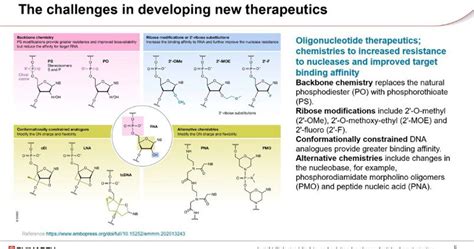 Insight Biologics An Advanced Platform Solution For Characterizing Oligonucleotide Products And