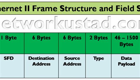 Ieee Ethernet Frame Archives Networkustad