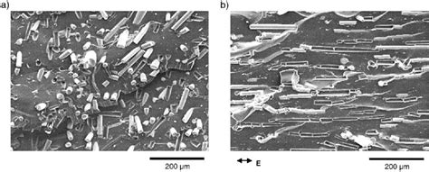 Figure 1 From The Effect Of Fiber Orientation On The Toughening Of