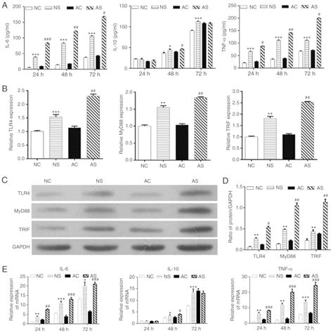 Biologically Active 125 Dihydroxyvitamin D3 Protects Against
