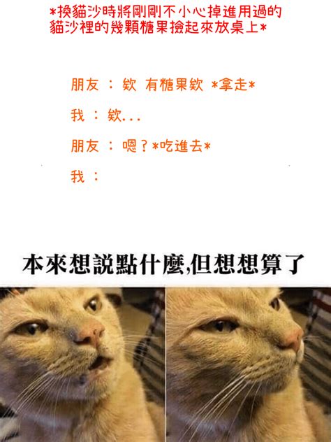 我決定將這個秘密帶進棺材裡 換圖重發 梗圖板 Dcard