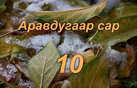 Өнөөдрийн тухай таны мэдэх ёстой 13 зүйл Сэтгэцийн эрүүл мэндийн