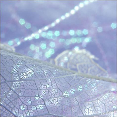 Pin By Leslie Rhoades On Iridescent Pure Products Iridescent Colours