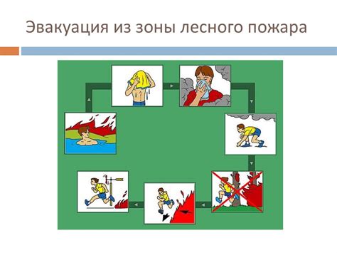 Природные чс пожары презентация онлайн