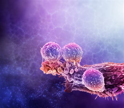 Advancing Preclinical Oncology Studies With Novel Implantable