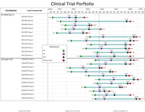 Smartsheet Multi Project Gantt Chart Onepager