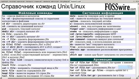 Различия между Bash и терминалом подробный обзор