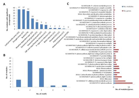 Transcriptional Modules A The Number Of Modules With Significant