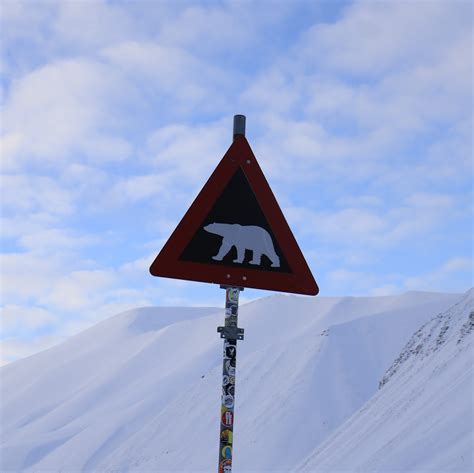 Is There Mobile Coverage In Svalbard