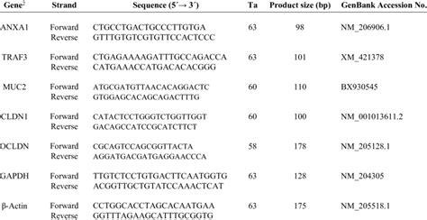 sequences of primer pairs used for amplification of target and