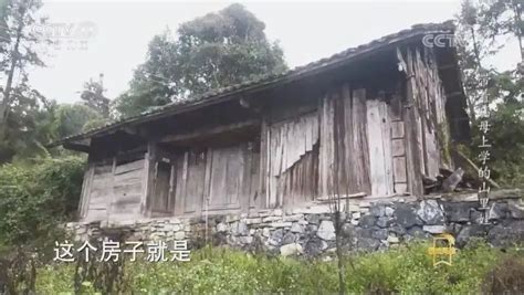 睡猪圈、捡垃圾、背疯母上学这个央视曝光的男人，35亿网友怒赞澎湃号·湃客澎湃新闻 The Paper
