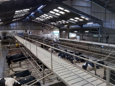 Cattle Housing Resources Helping Farmers In Scotland Farm Advisory
