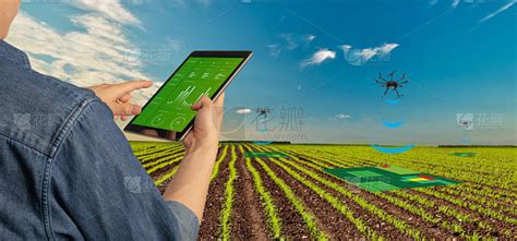 智能农场农业概念的未来技术趋势。农民使用人工智能无人机来监测、预测、预测、检查农田的健康状况