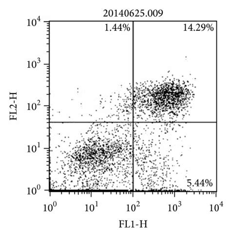 Apoptosis Induction By Sd Extracts In Hepg2 Cells Phosphatidylserine