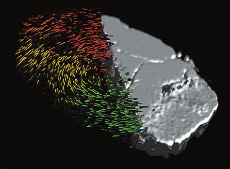 Wcif Imagej Software Basicdelta