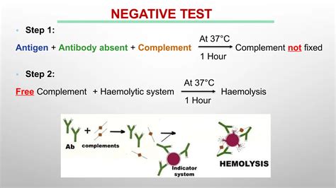 Complement Fixation Medicine Healthcarepptx