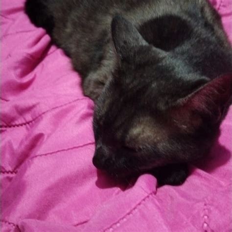 Danna Sofía Youtube