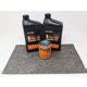 Generac 5W-30 Full Synthetic Oil Change Kit 2 Quarts oil and Filter ...