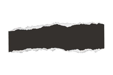 Paper Cut Vector Png At Dorathy Quinones Blog