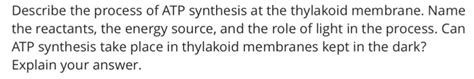 Solved Describe The Process Of Atp Synthesis At The
