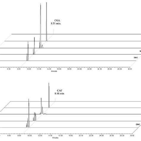 Chromatograms Of Hplc At λ 330 Nm Of A Cga Standard 25 µgml And