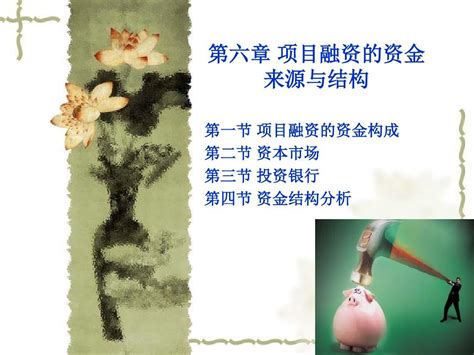 第07章项目融资的资金来源资金结构讲解word文档在线阅读与下载免费文档