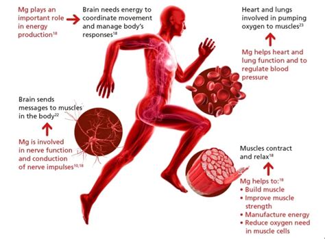 Sebastijan Orlić Phd On Linkedin Repost 12 Comments
