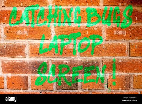 Writing Note Showing Catching Bugs Laptop Screen Business Photo Showcasing Computer System