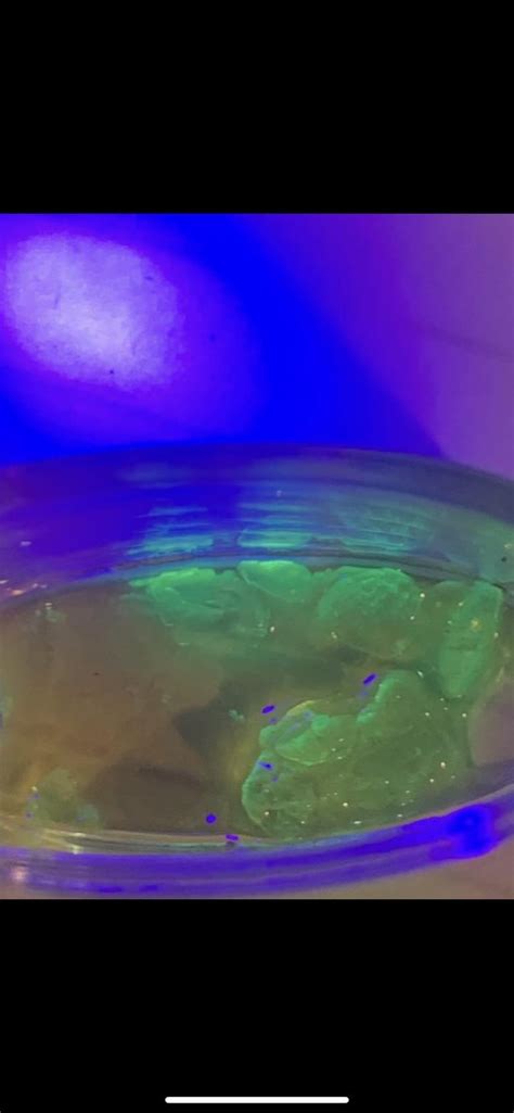 Uranyl Nitrate Crystals Approximately 8 Months Of Growth Rchemistry