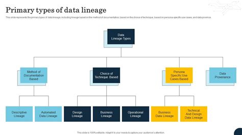 Primary Types Of Data Lineage Data Lineage Types It Ppt Background Ppt