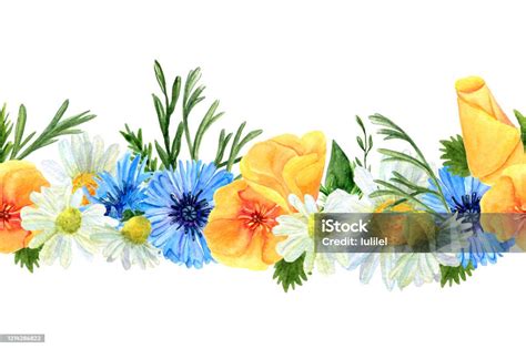 수채화 여름 초원 꽃과 허브의 원활한 수평 테두리 양귀비 카모마일 옥수수 꽃 패턴 랩핑 또는 초대를 위한 자연 디자인 0명에