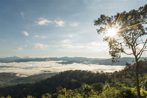 아침 안개 산 레이어와 매 욤 국립 공원에서 프레 주 태국 북쪽의 풍경 0명에 대한 스톡 사진 및 기타 이미지 0명 가을