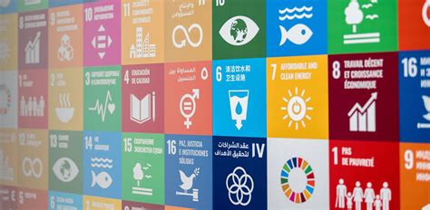 국제개발협력학과