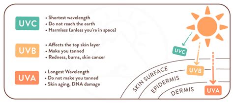 The Connection Between UV Light And Skin Cancer Risk For Implementing Workplace Skin Checks