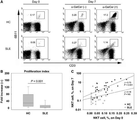Decreased Proliferative Responses Of Pbmcs From Sle Patients To